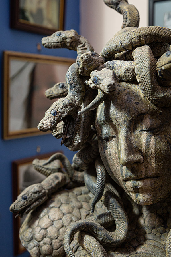 Medusa - Clive Soord